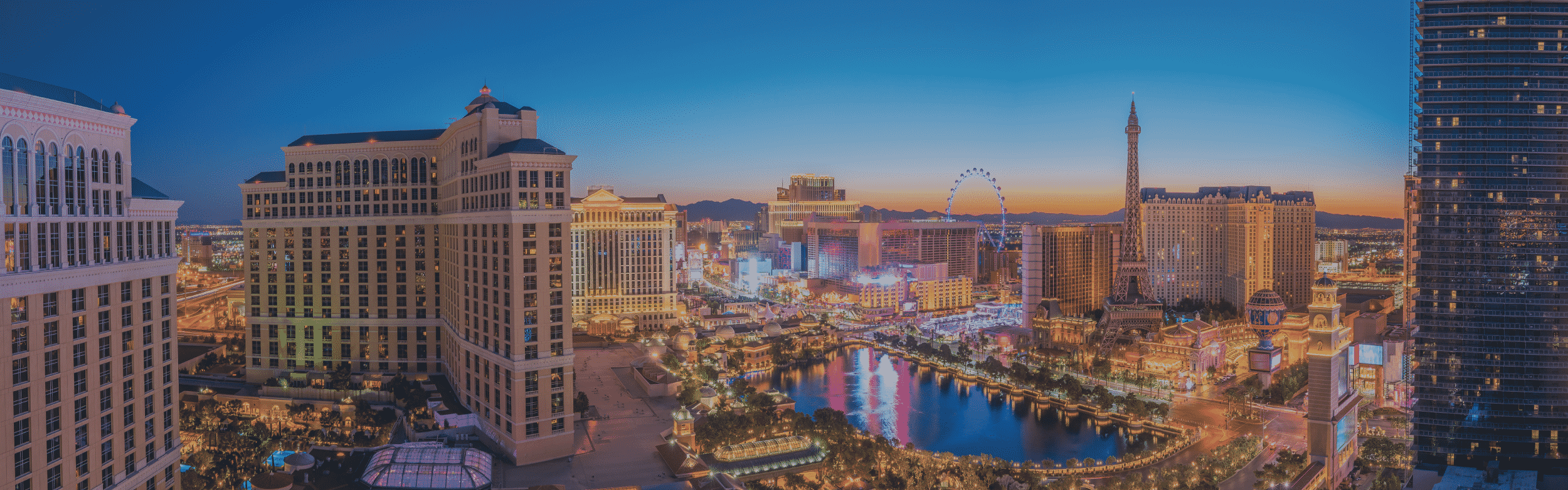 Steele Solutions | FCPA & Third-Party Compliance